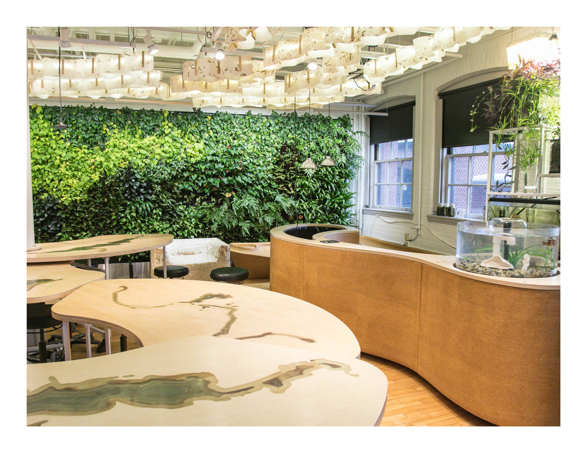 RISD Nature Lab BioDesign MakerSpace - Kylie King