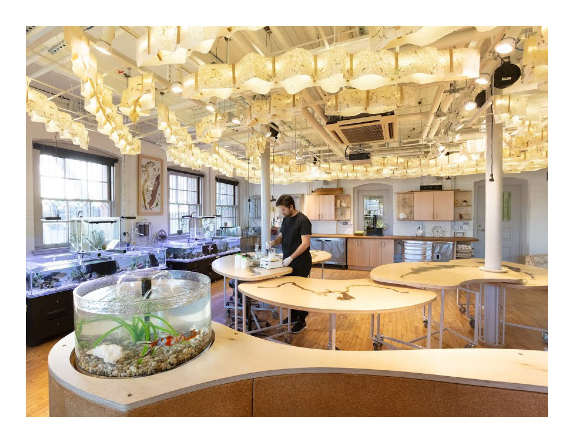 RISD Nature Lab BioDesign MakerSpace - Kylie King