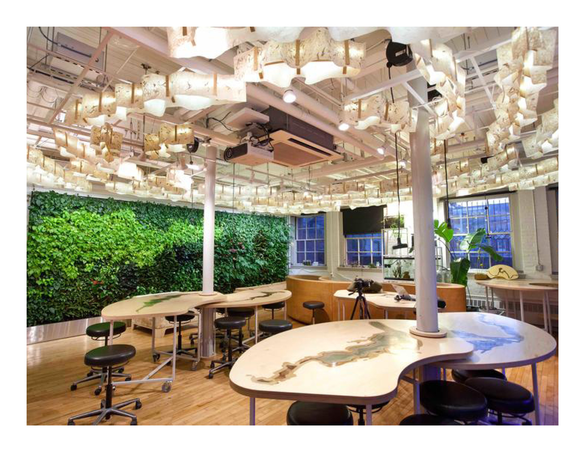 RISD Nature Lab BioDesign MakerSpace - Kylie King