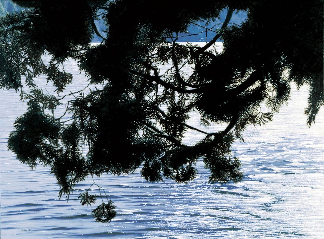 Nature - robert thibault