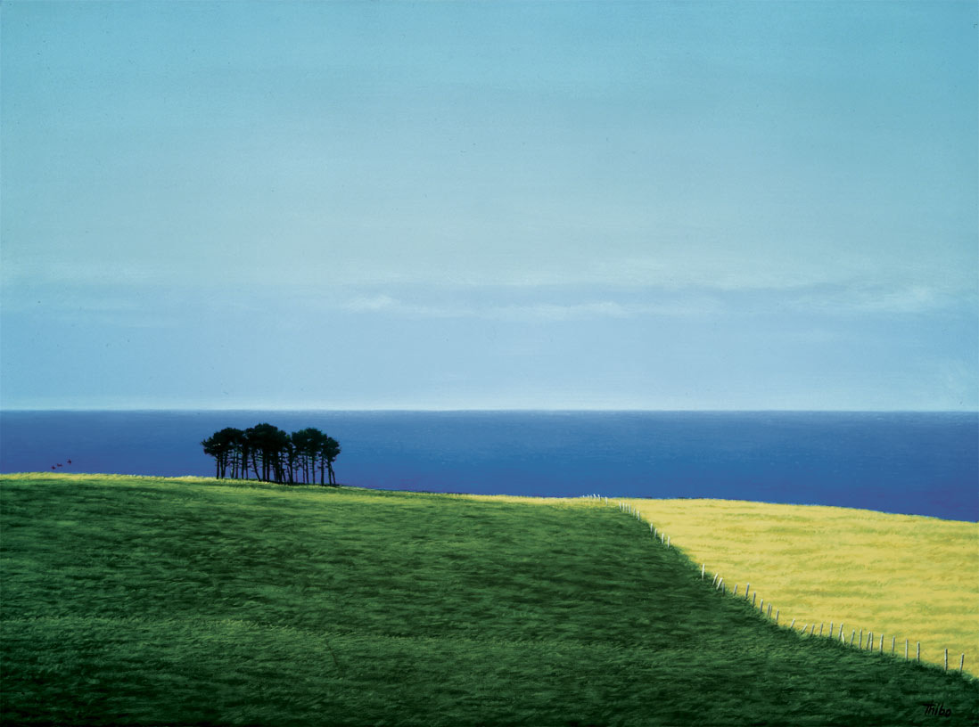 Nature - robert thibault