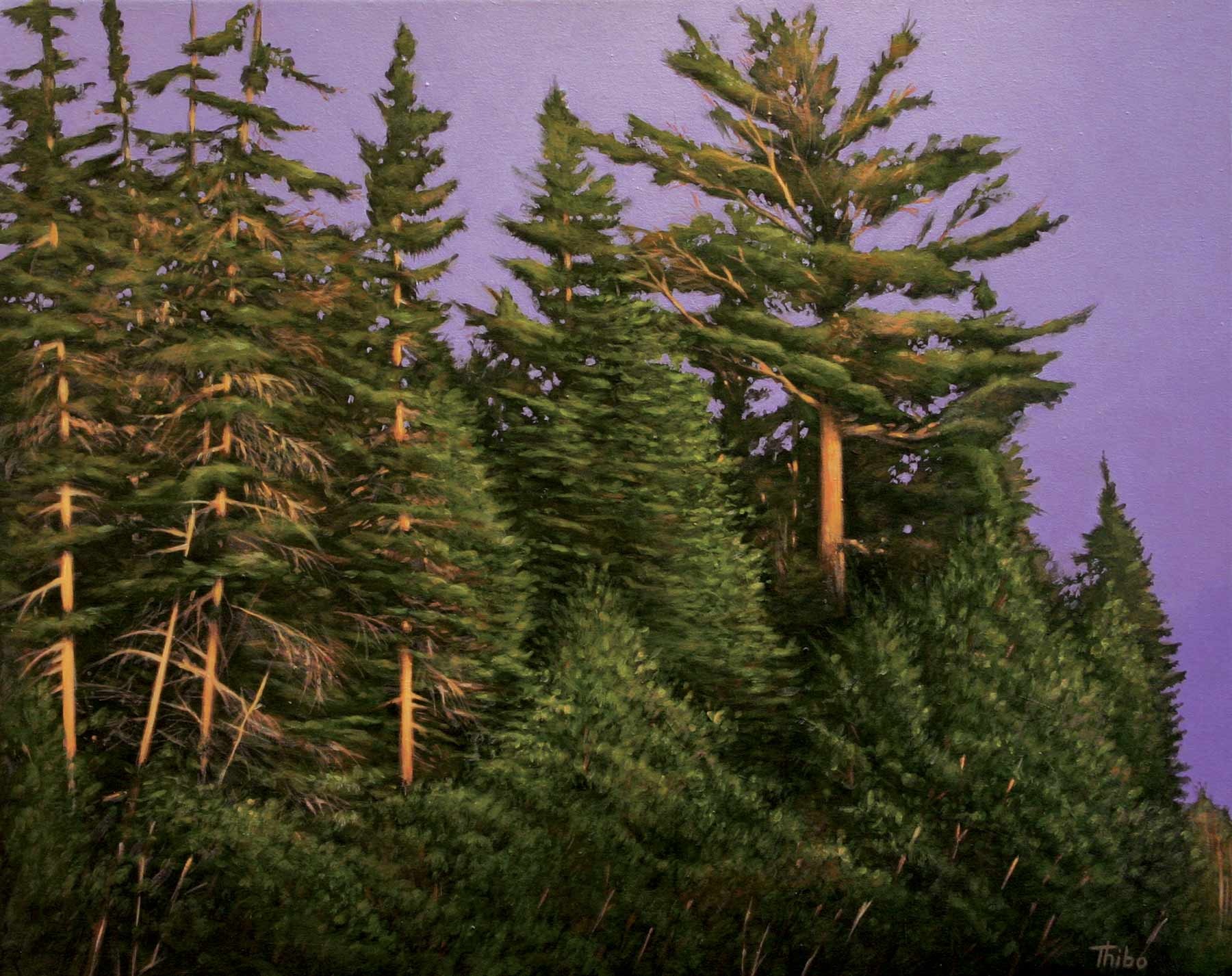 Nature - robert thibault