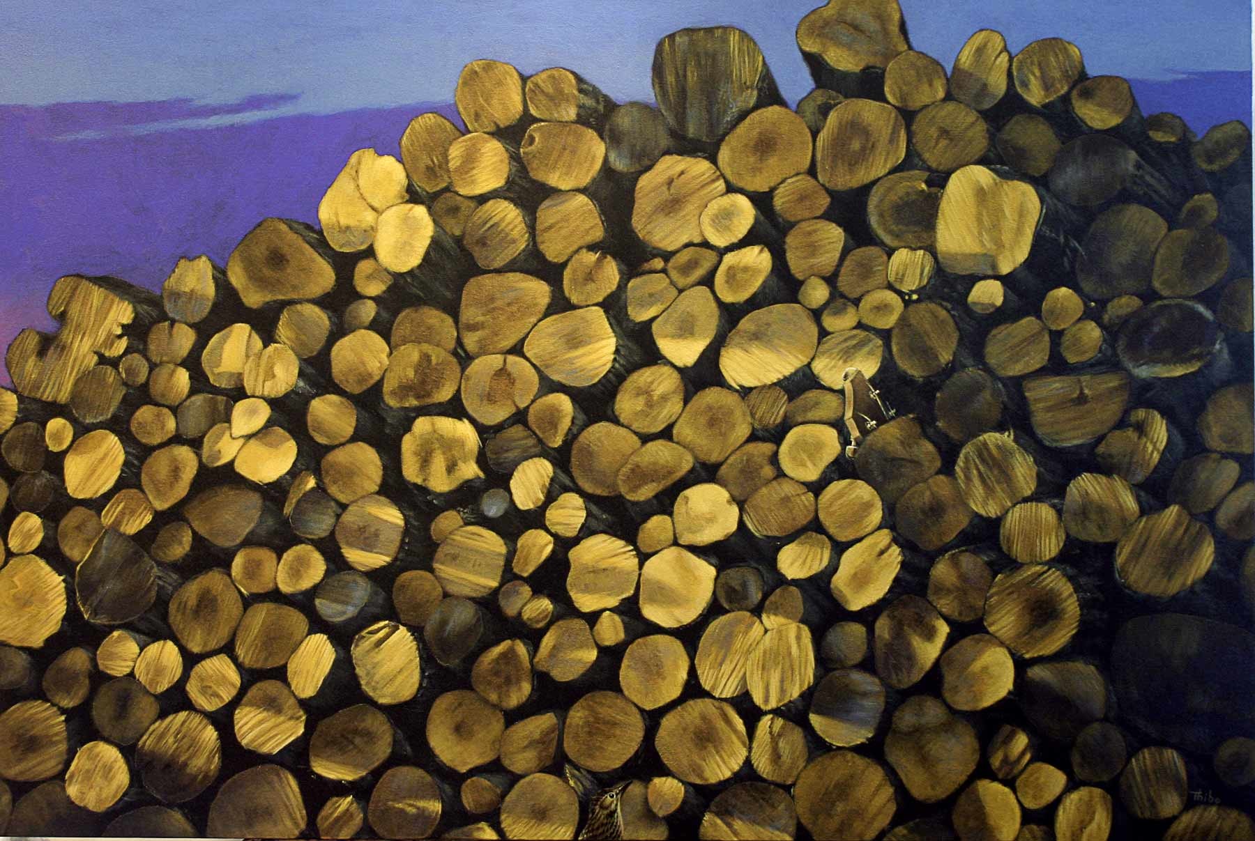 Nature - robert thibault