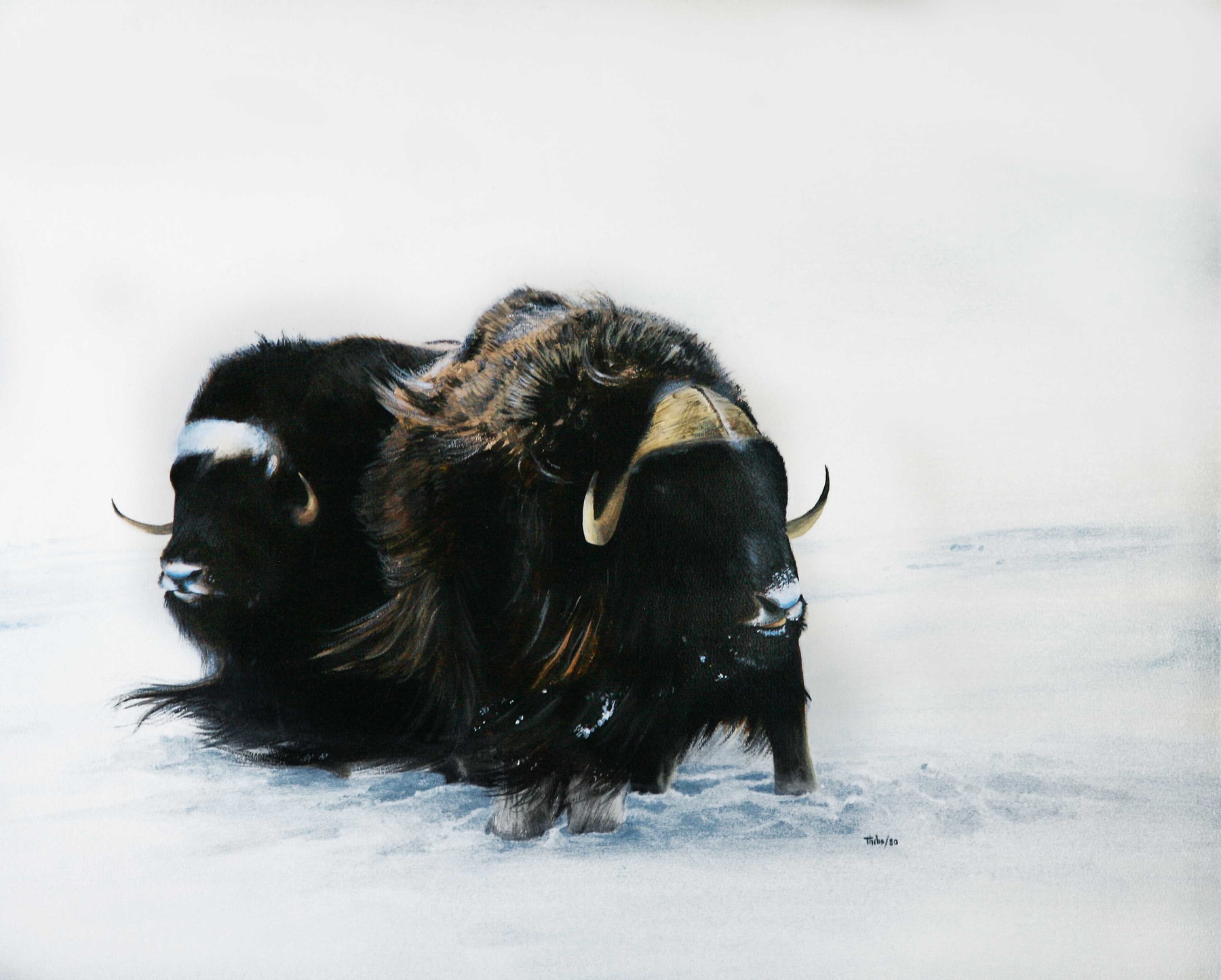 Nature - robert thibault