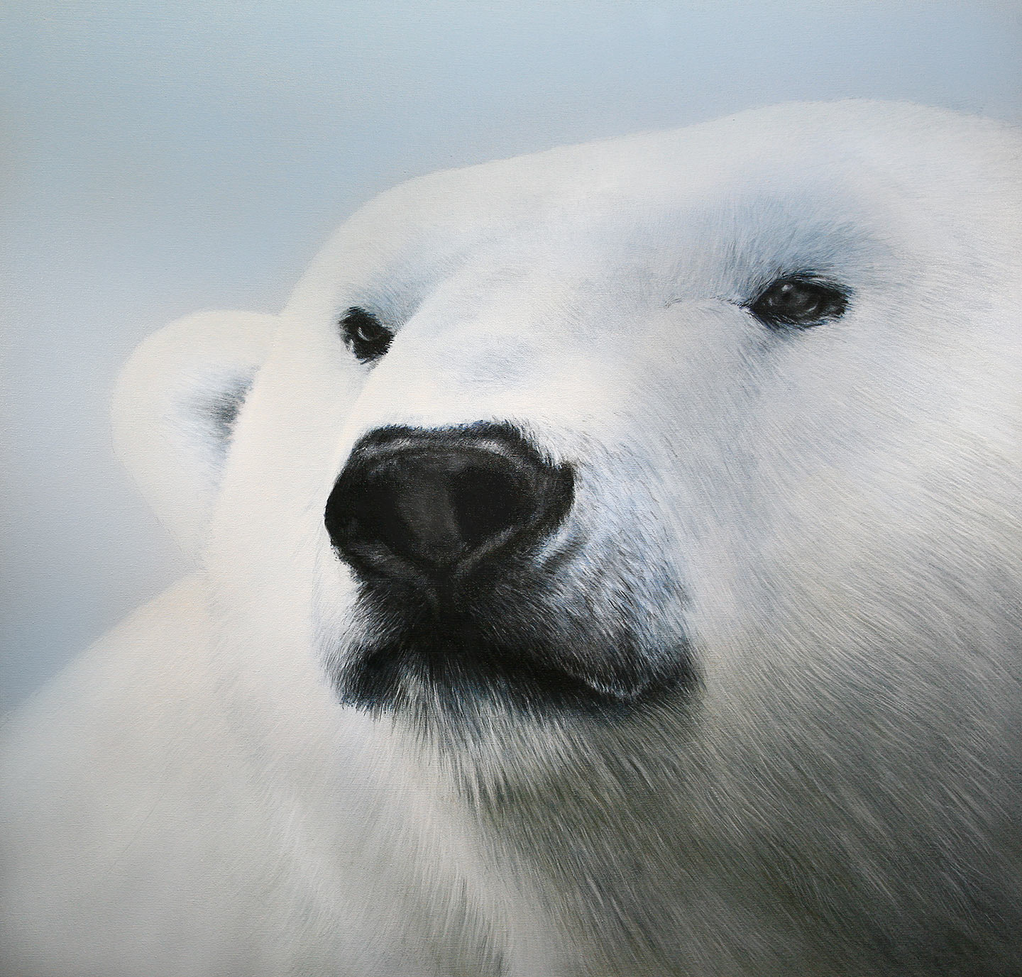 Nature - robert thibault