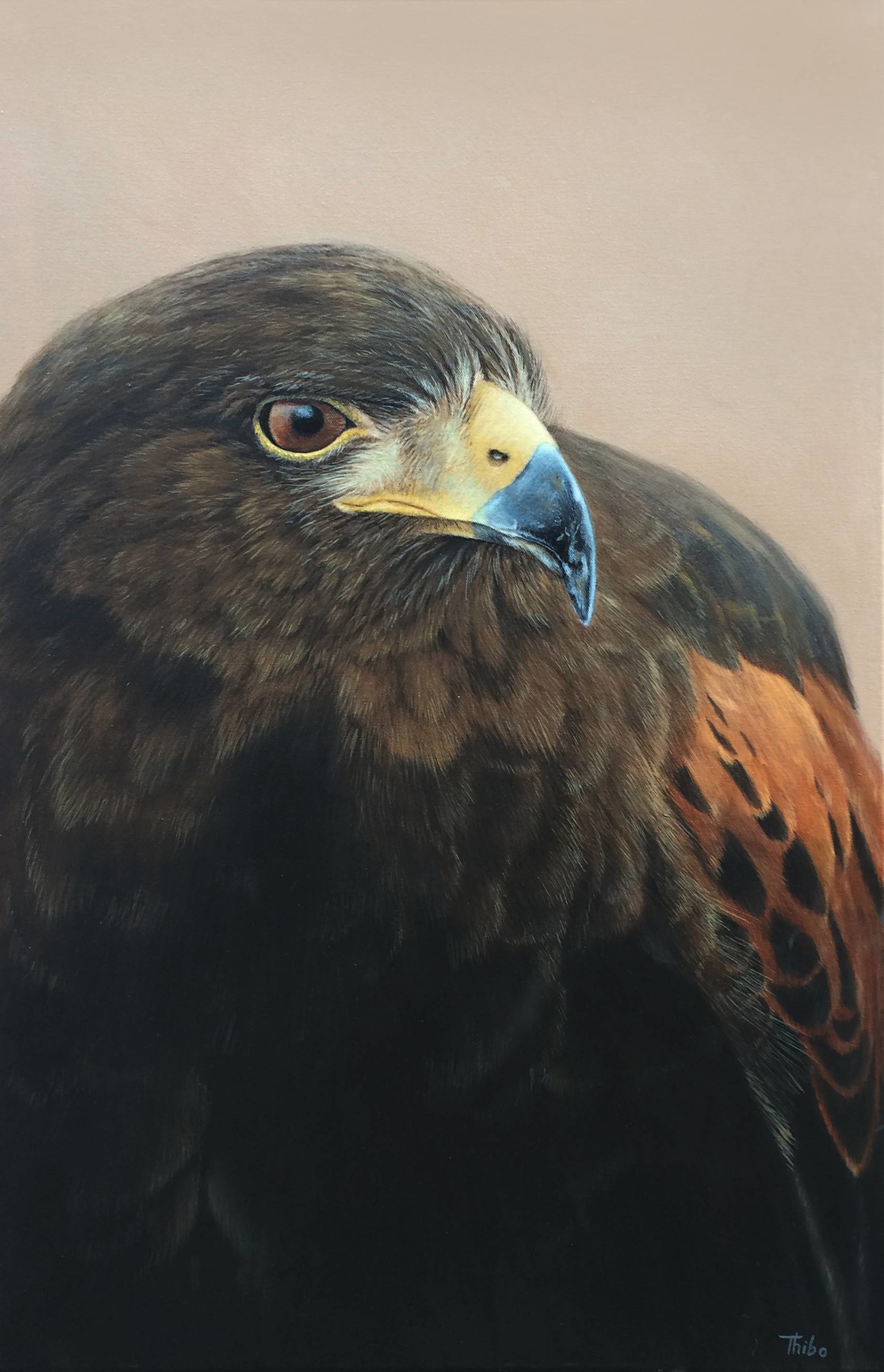 Nature - robert thibault