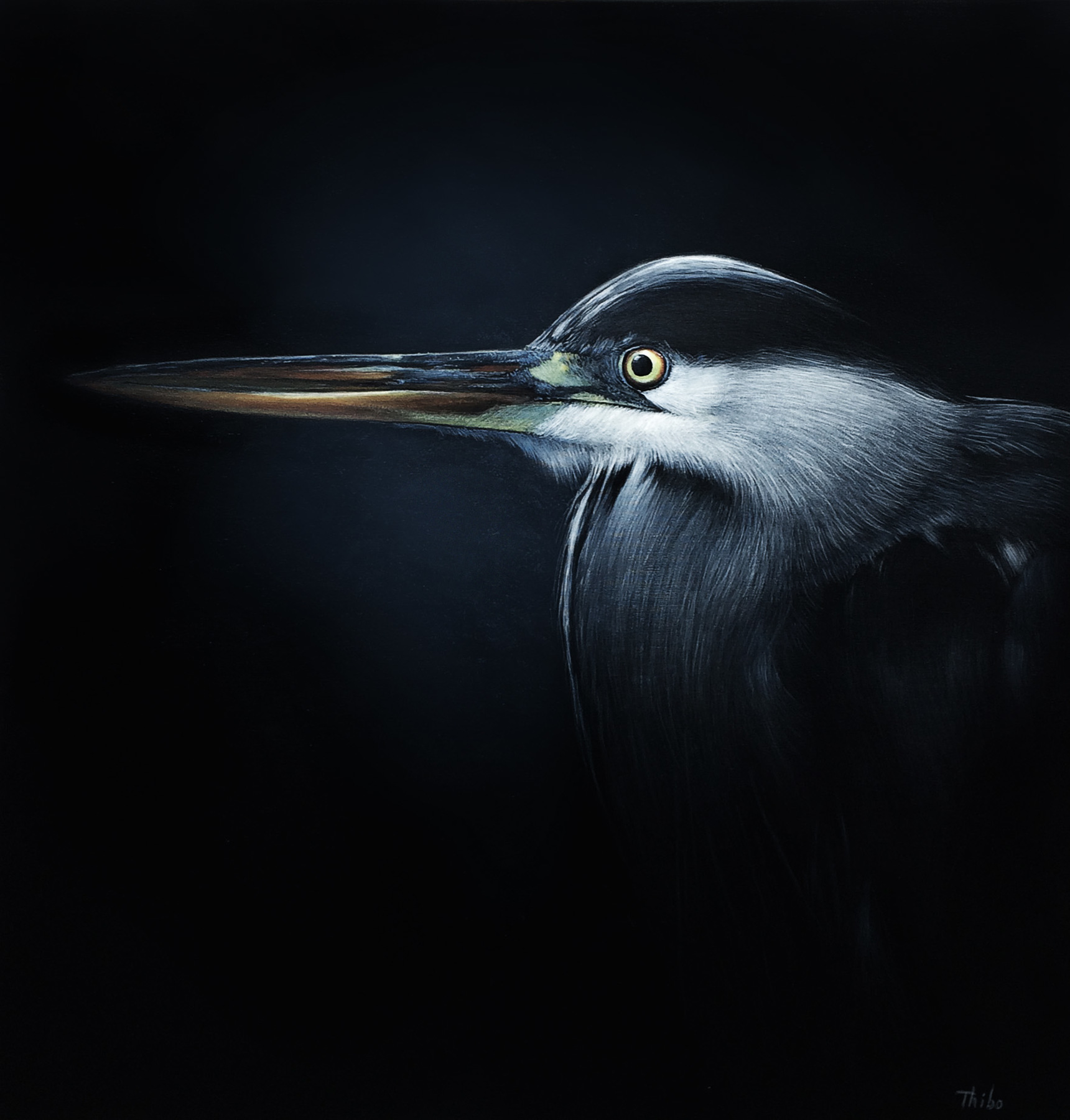 Nature - robert thibault