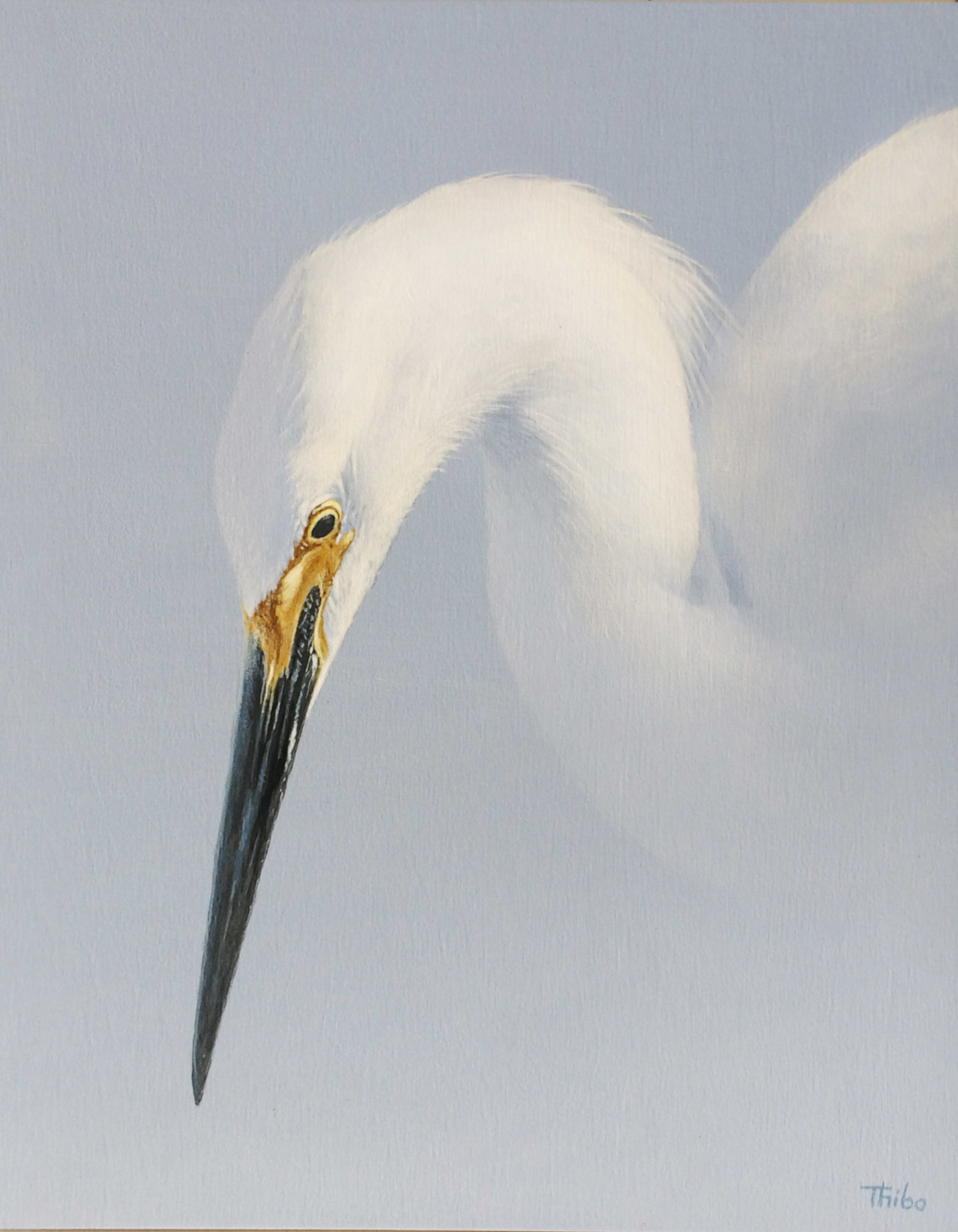 Nature - robert thibault