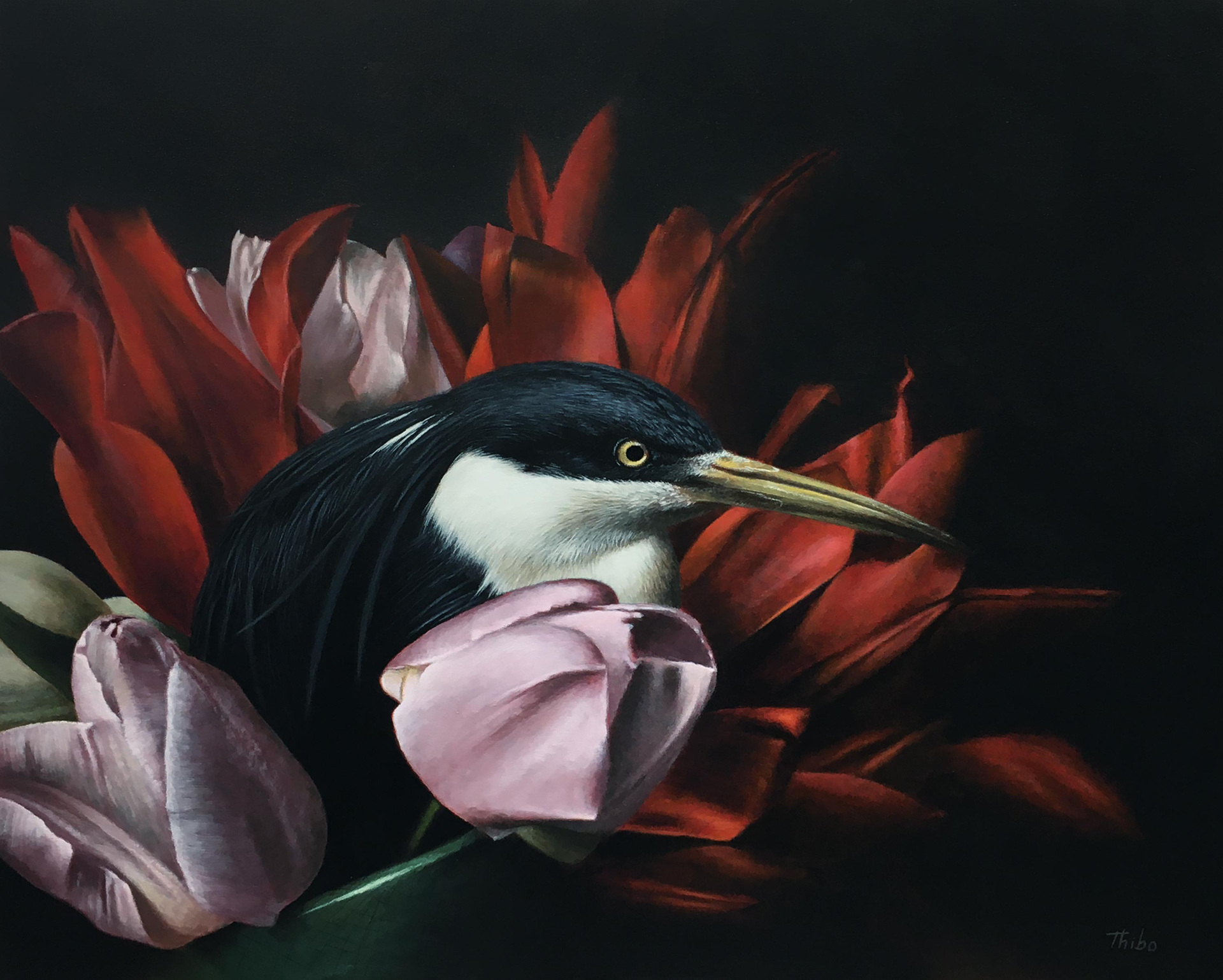 Nature - robert thibault