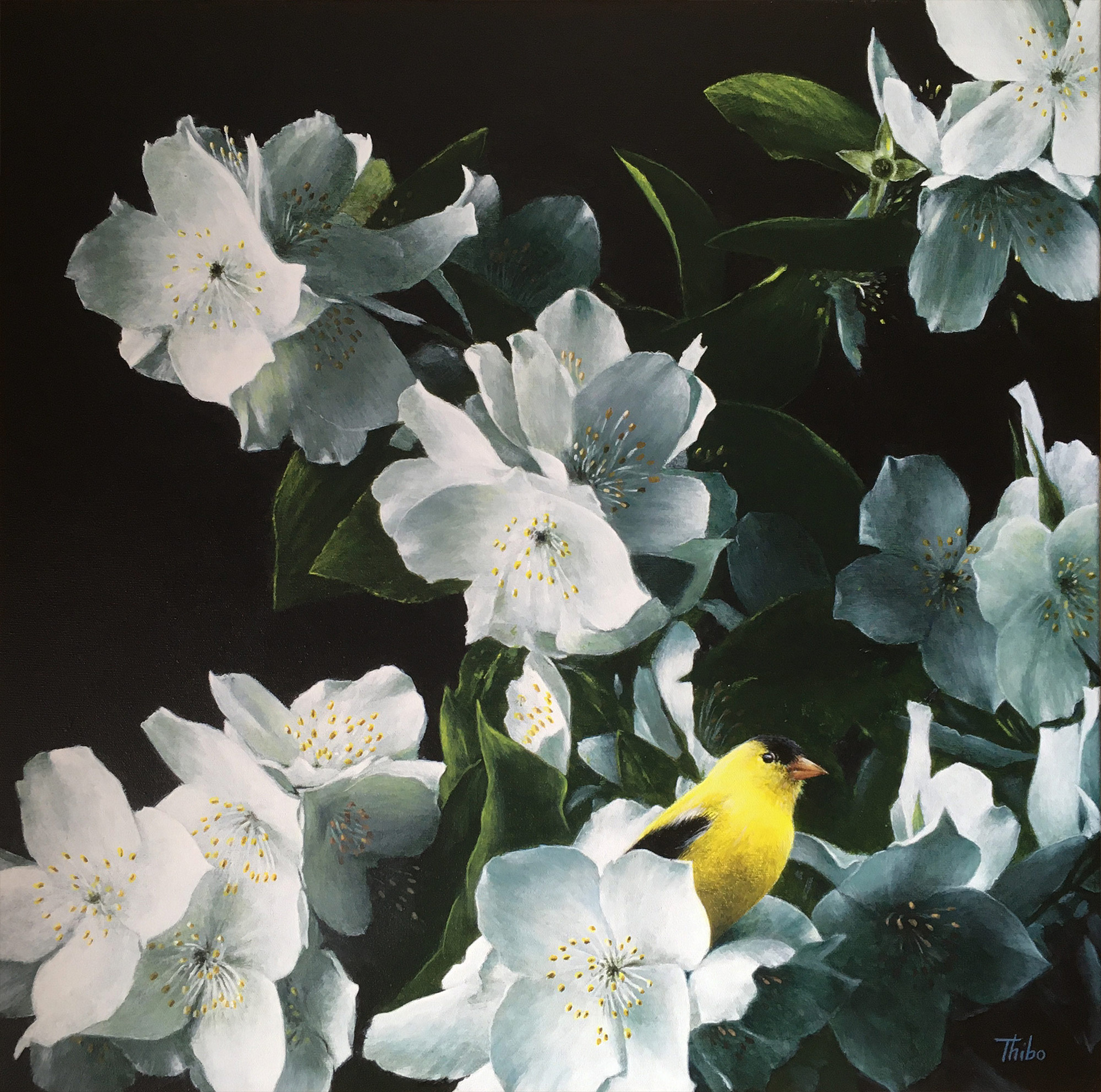 Nature - robert thibault