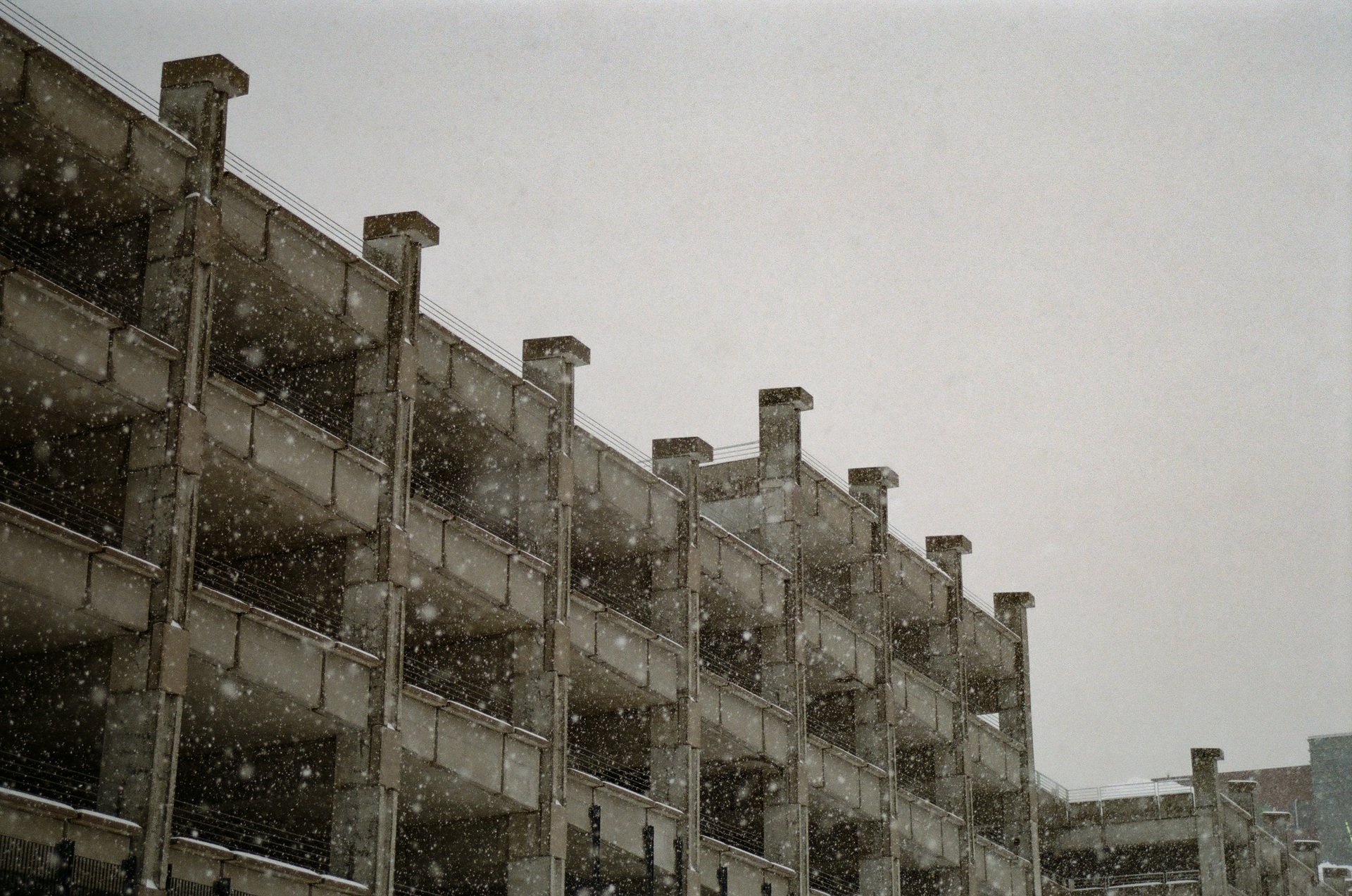 Jonathan Lee Photography