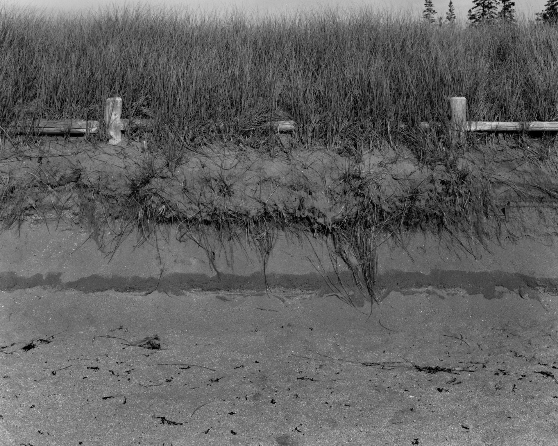 Does the Land Remember