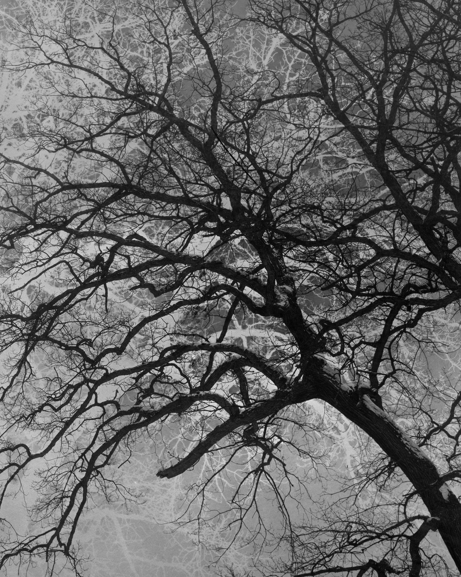 Does the Land Remember