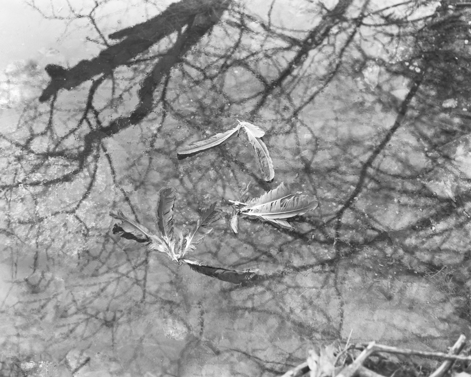 Does the Land Remember