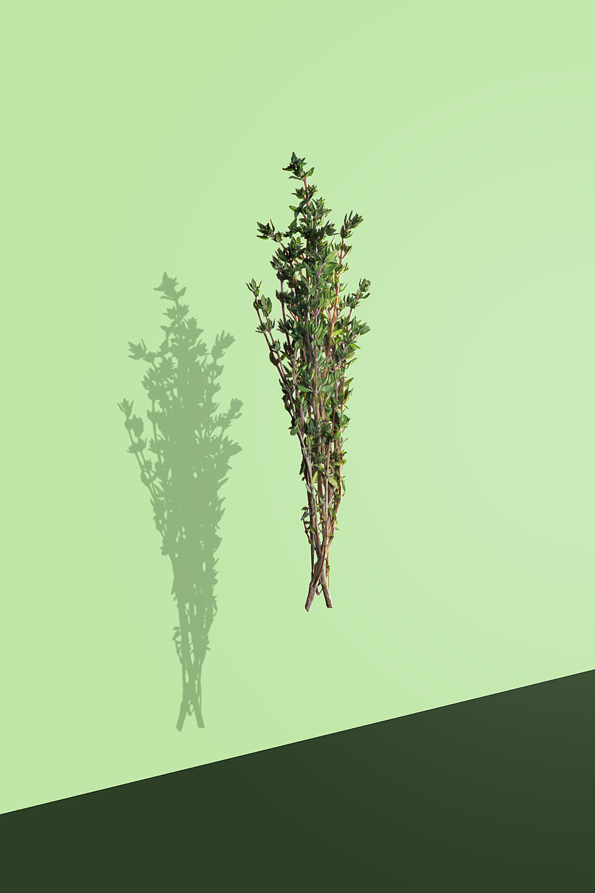 Samuel Joubert ­| Food and Lifestyle Photographer