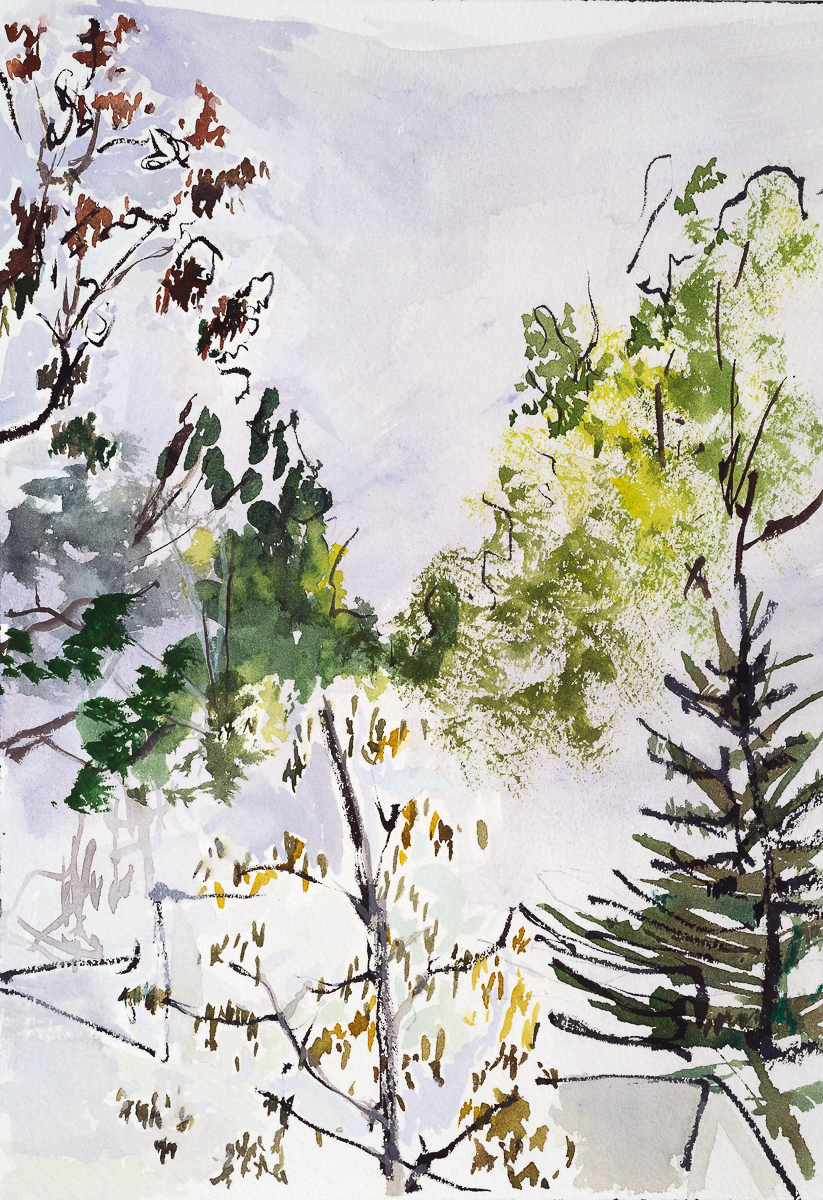 Sharon (Wren) Rogers