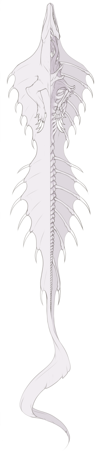 HC SVNT Dracones