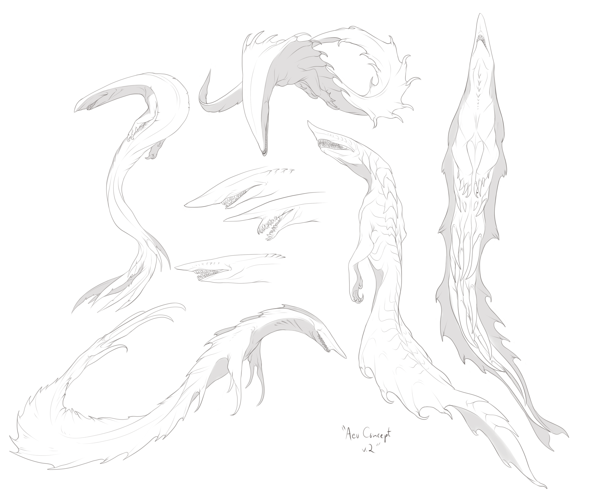 HC SVNT Dracones