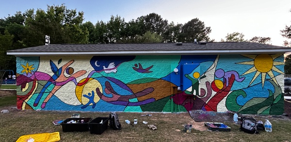 illustrative style murals painted by Raman Bhardwaj