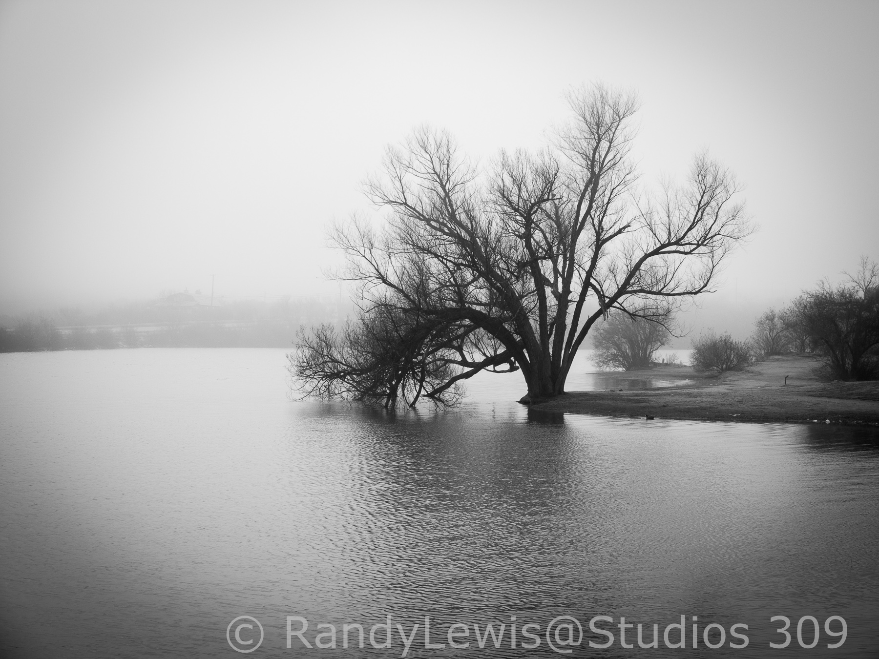 Randy Lewis