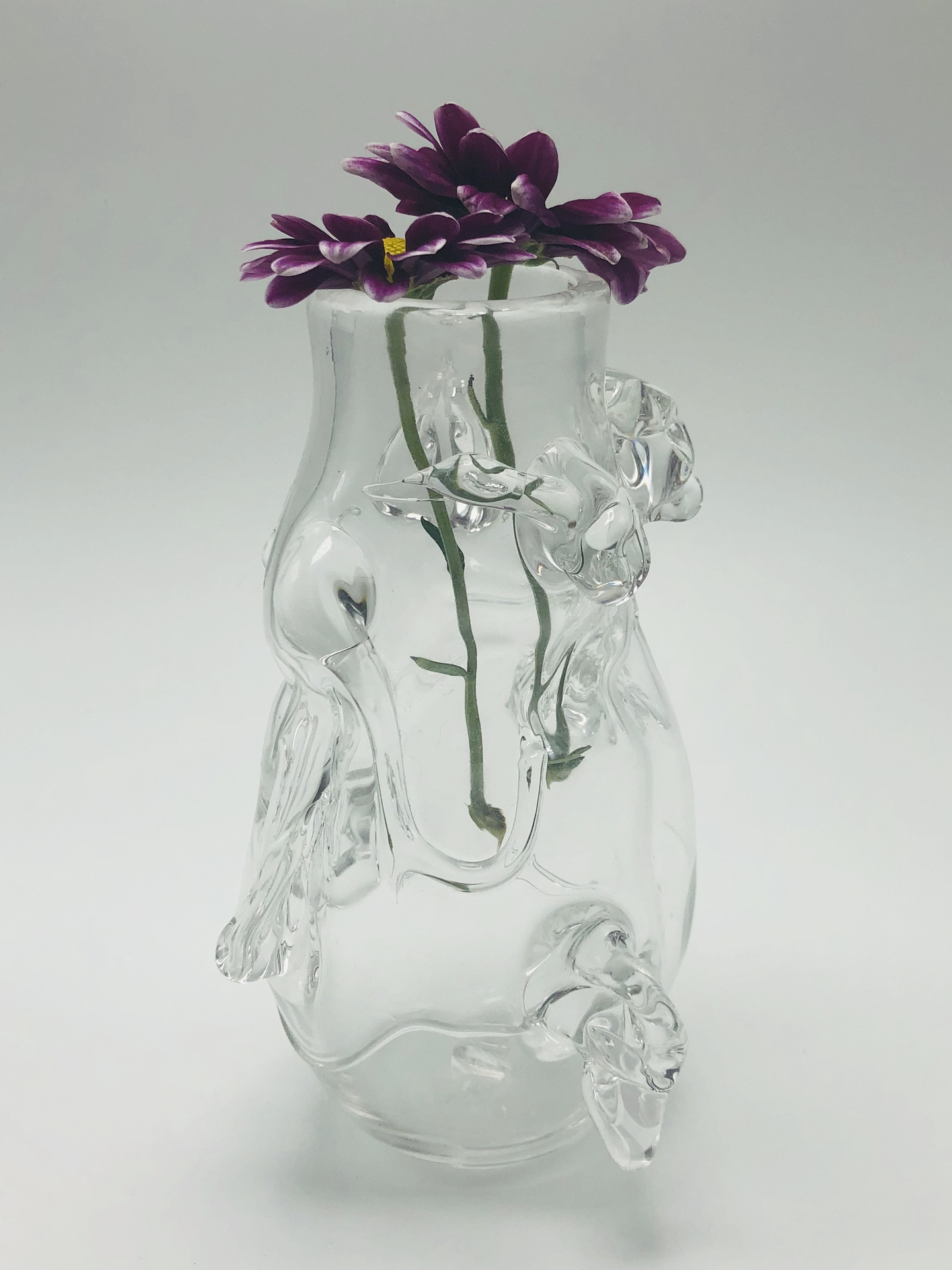 Susan Forster-DiMartino