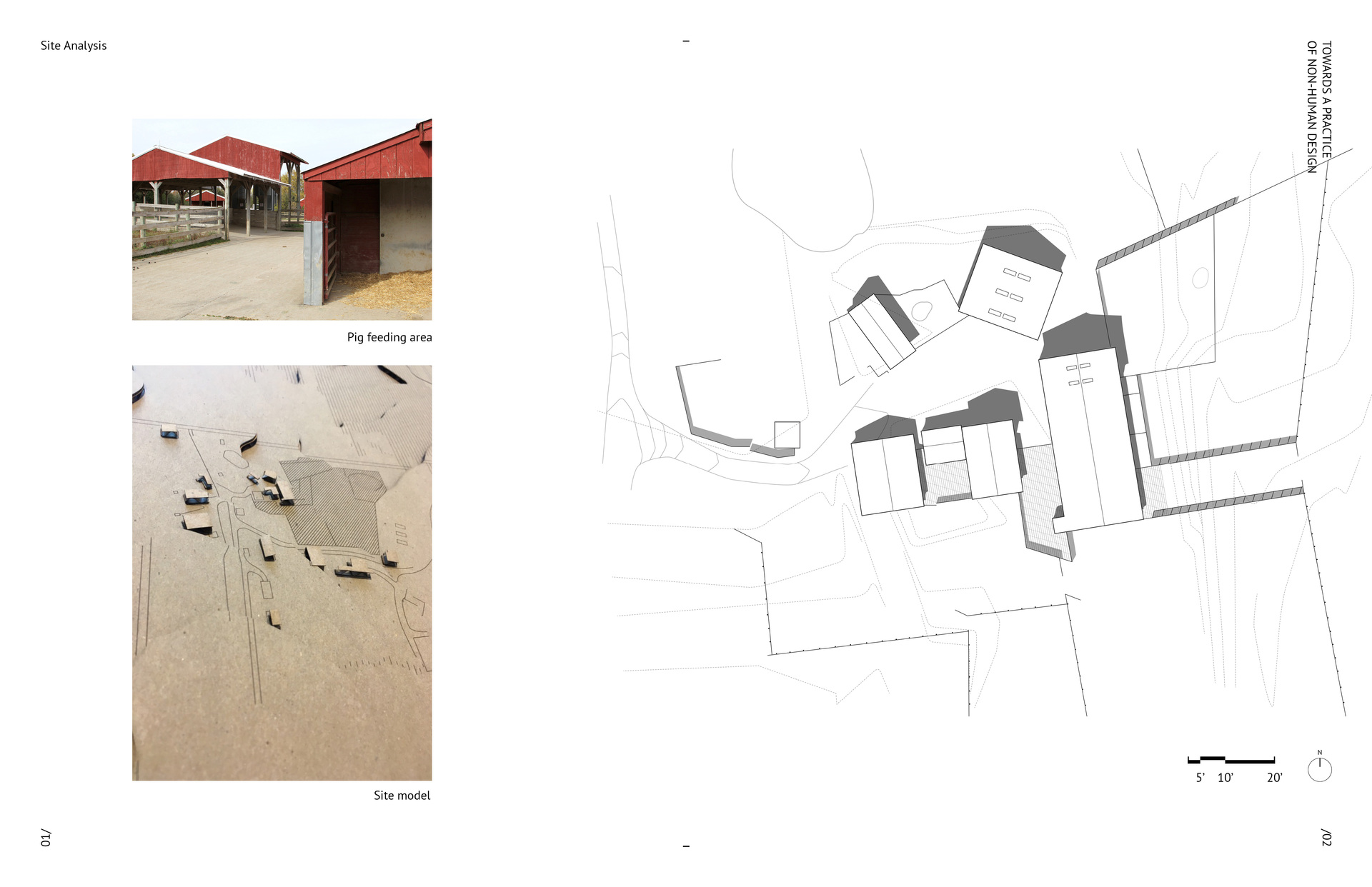 Towards a Practice of Non-Human Design - Kylie King