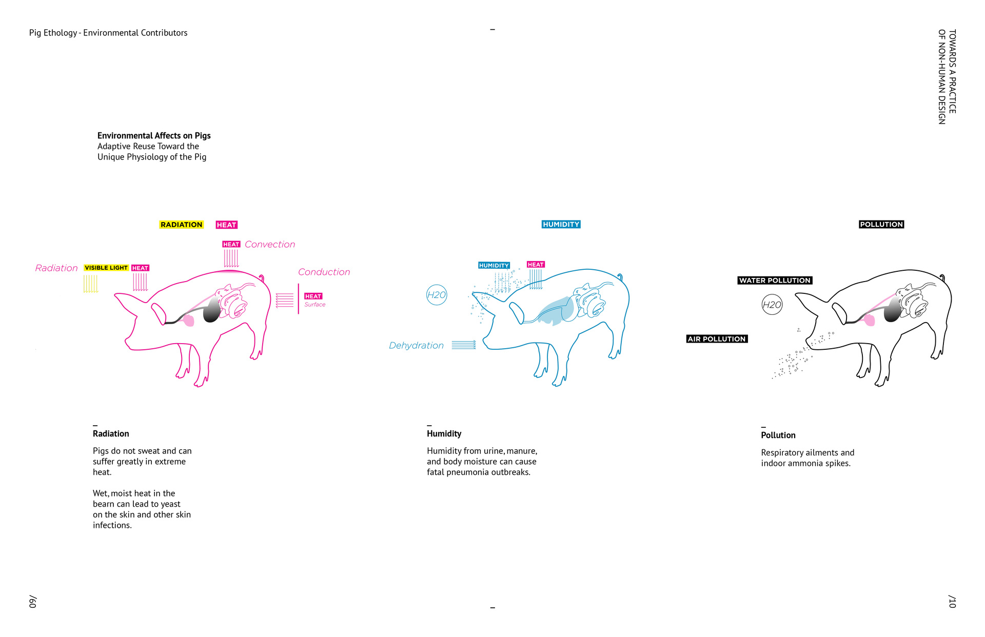 Towards a Practice of Non-Human Design - Kylie King