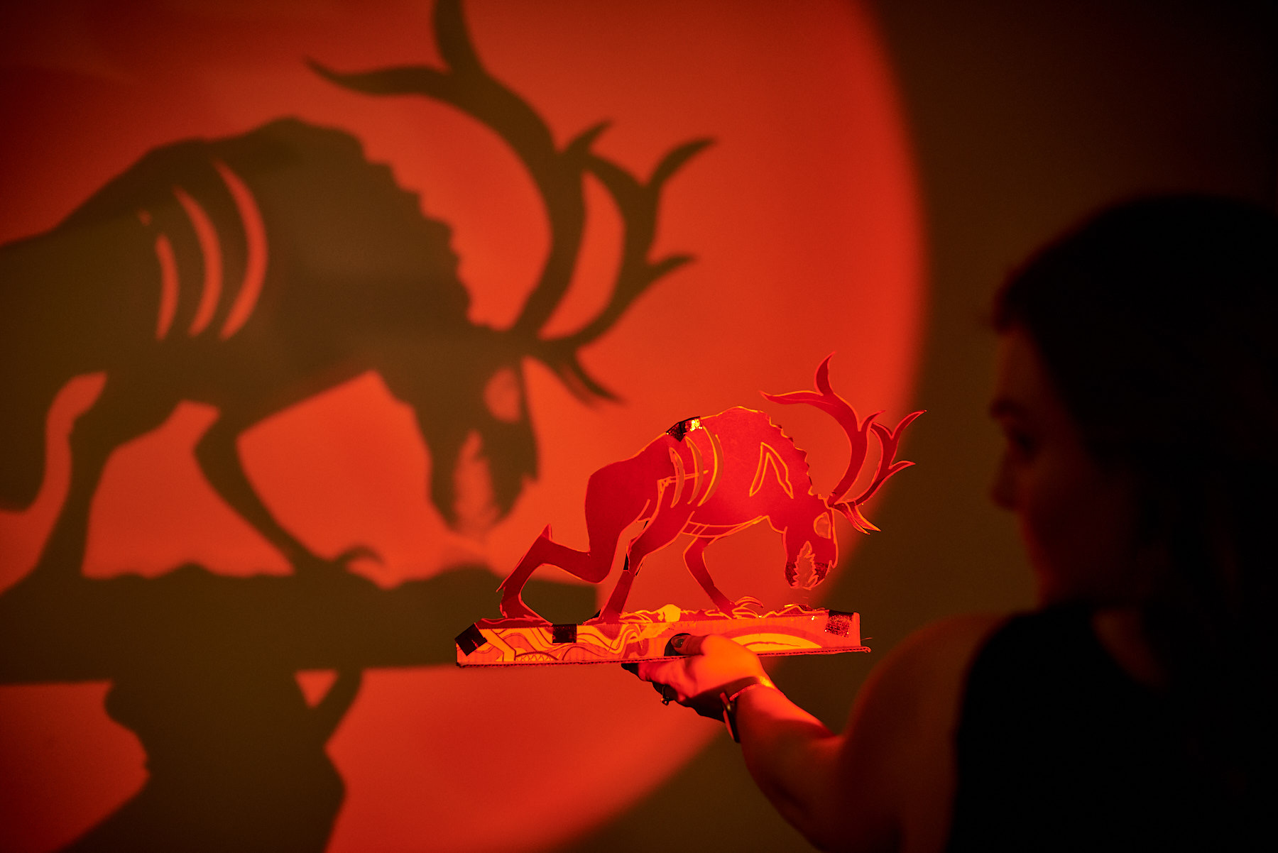 Katy Williams Design