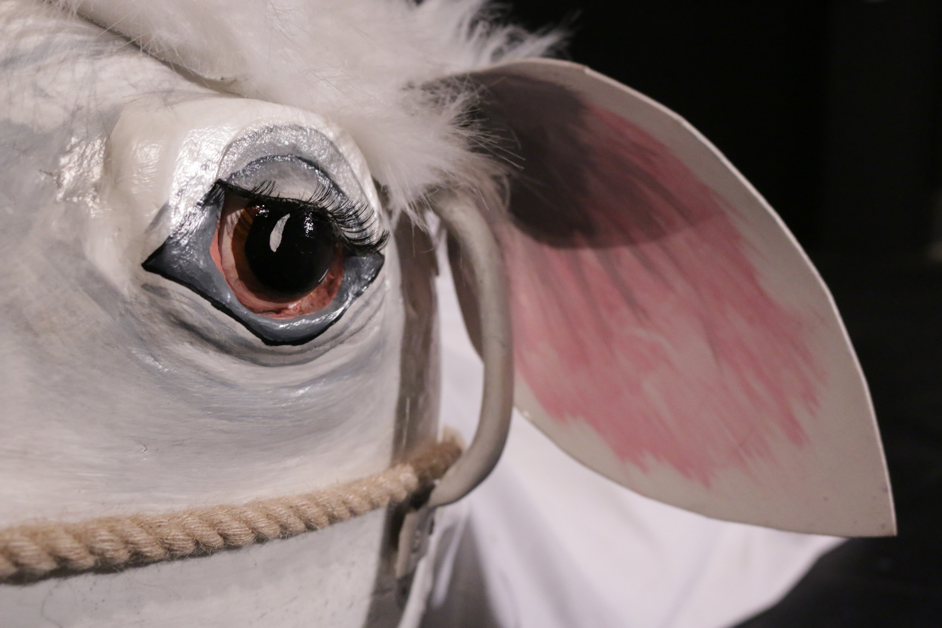 Katy Williams Design