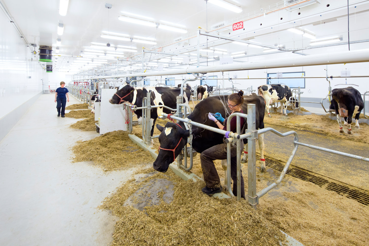 Dairy Research Centre