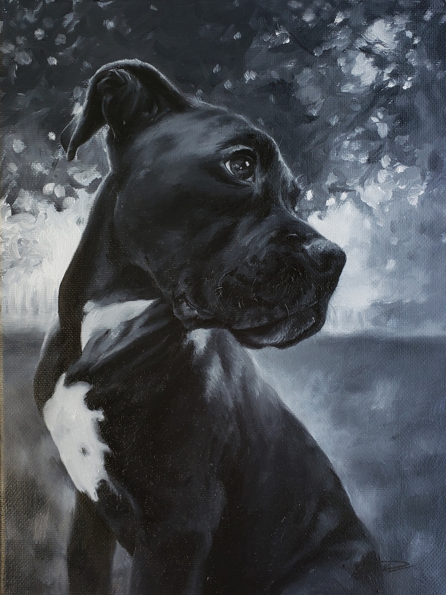 Click on an image to view the gallery.