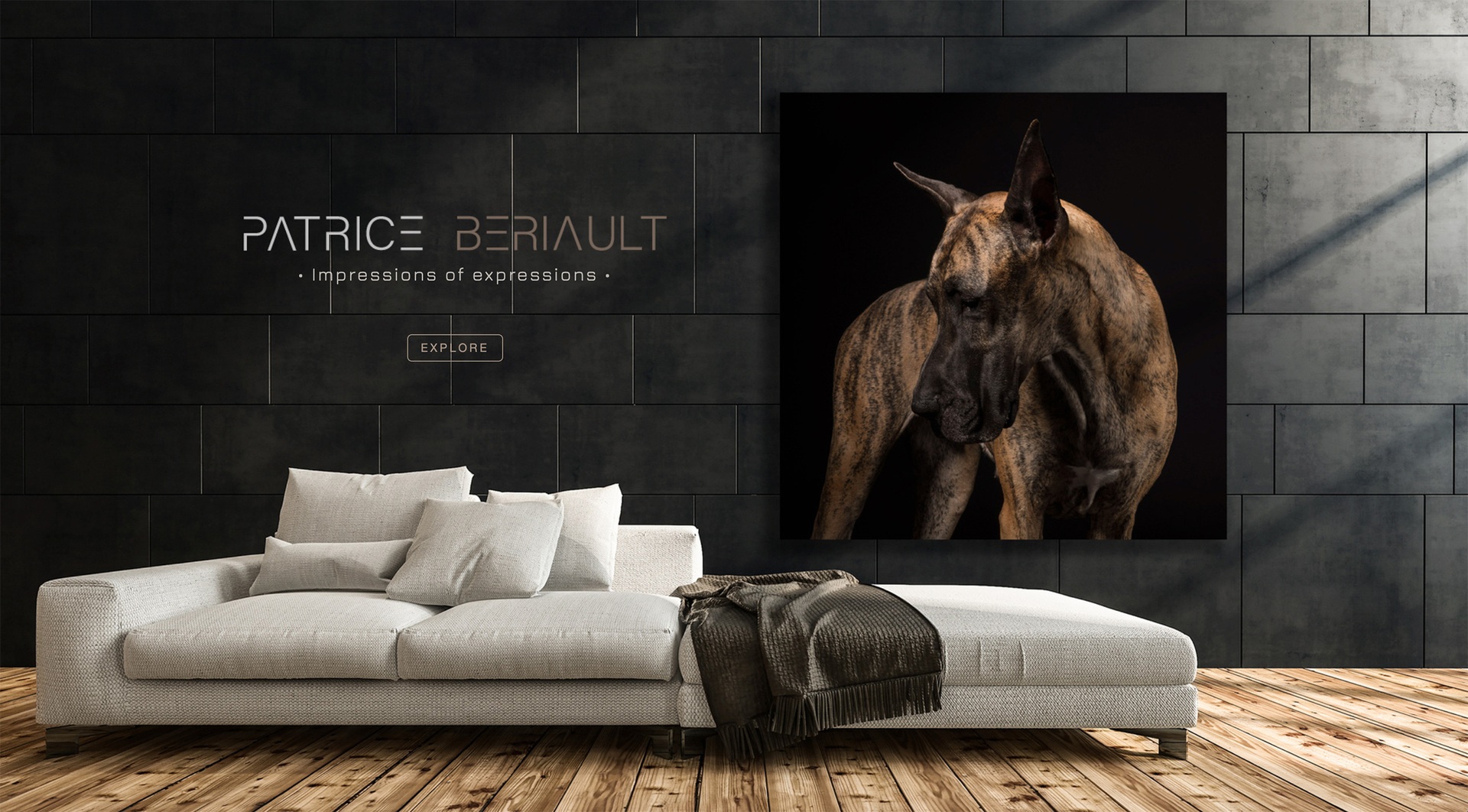 Patrice Beriault : Impressions of expressions