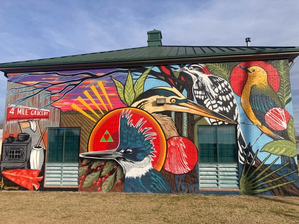 Gavin Bird's Portfolio