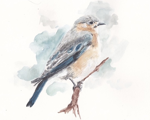 watercolor