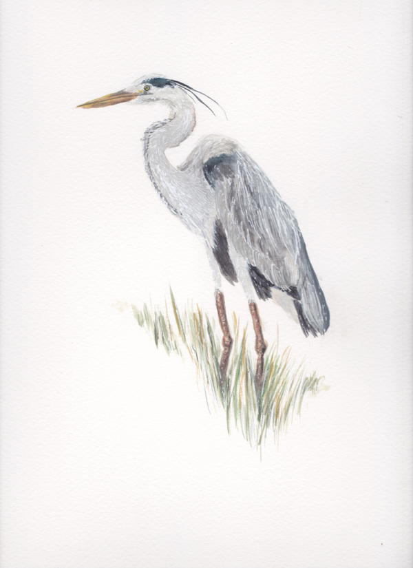 watercolor