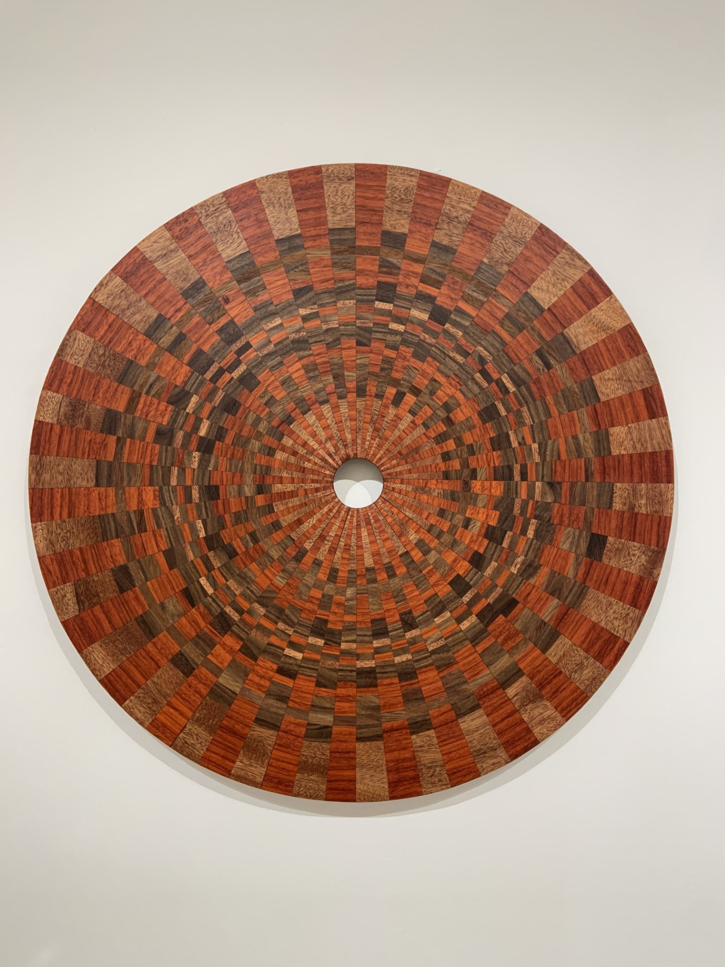 Caroline Williams Art