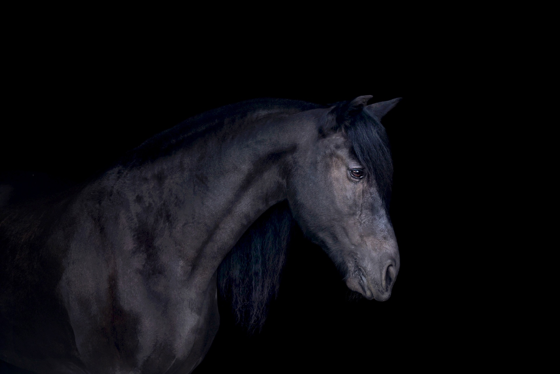 Victoria Morano Photography