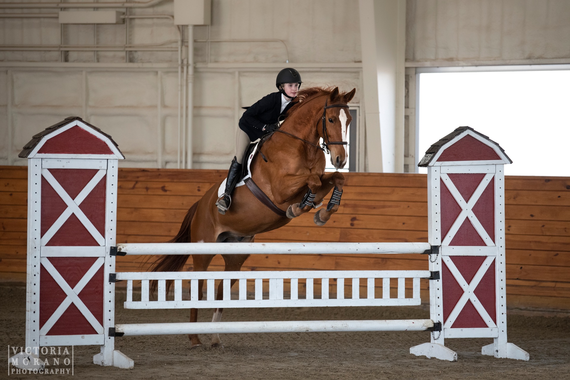 Victoria Morano Photography