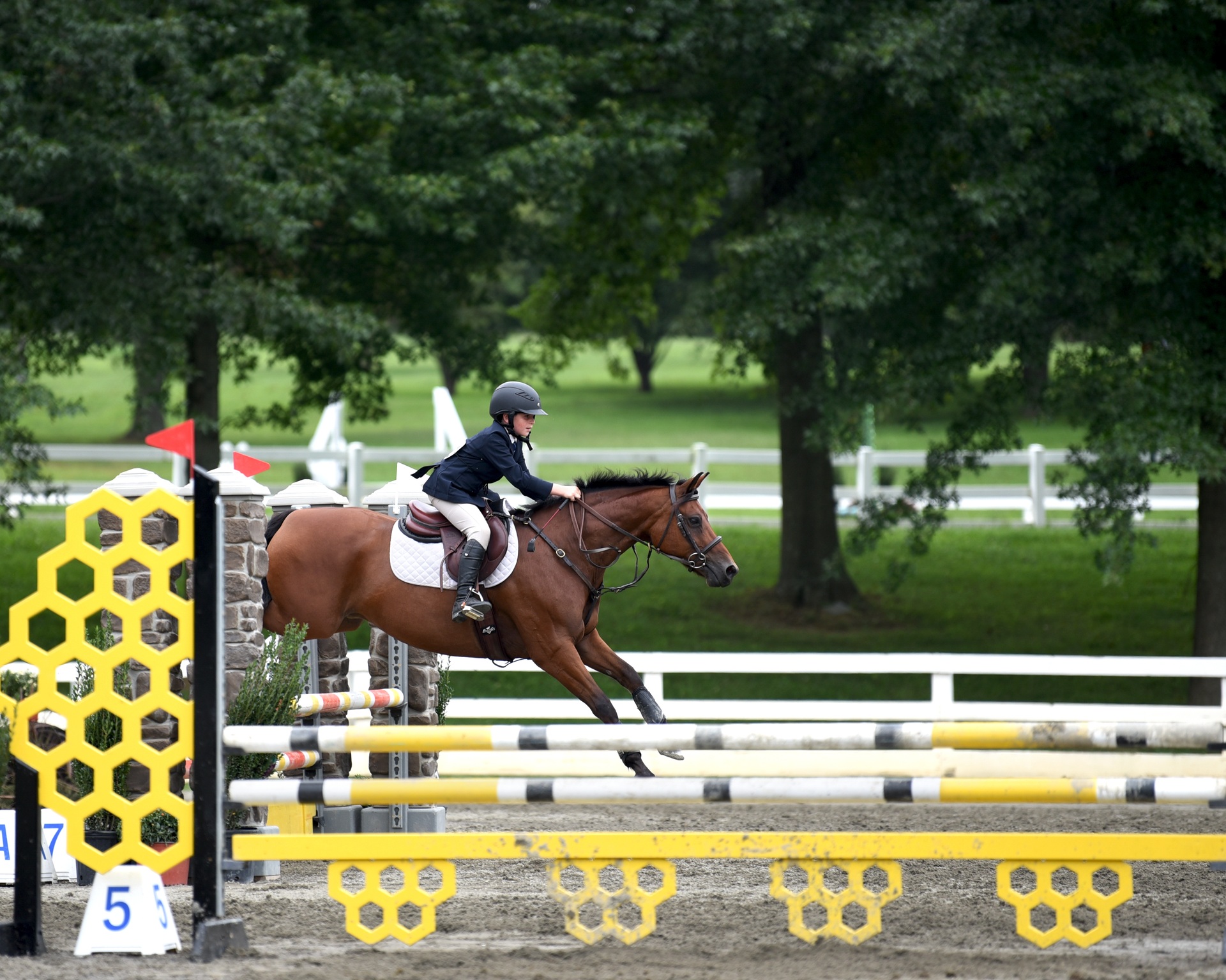 Victoria Morano Photography