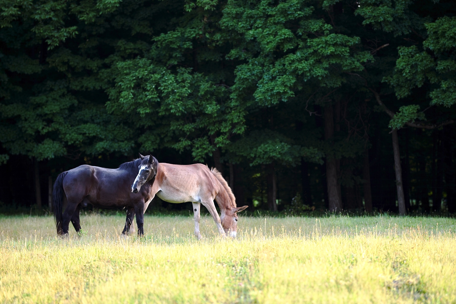 Victoria Morano Photography