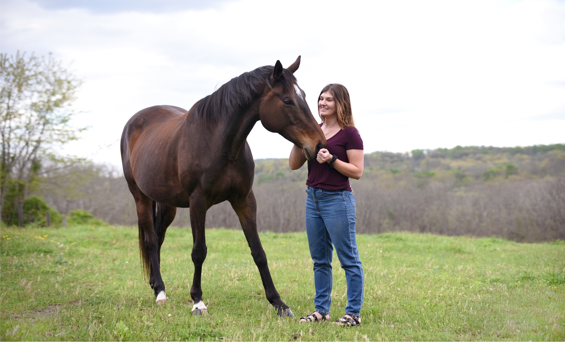 victoria morano photography pennsylvania based equine photographer