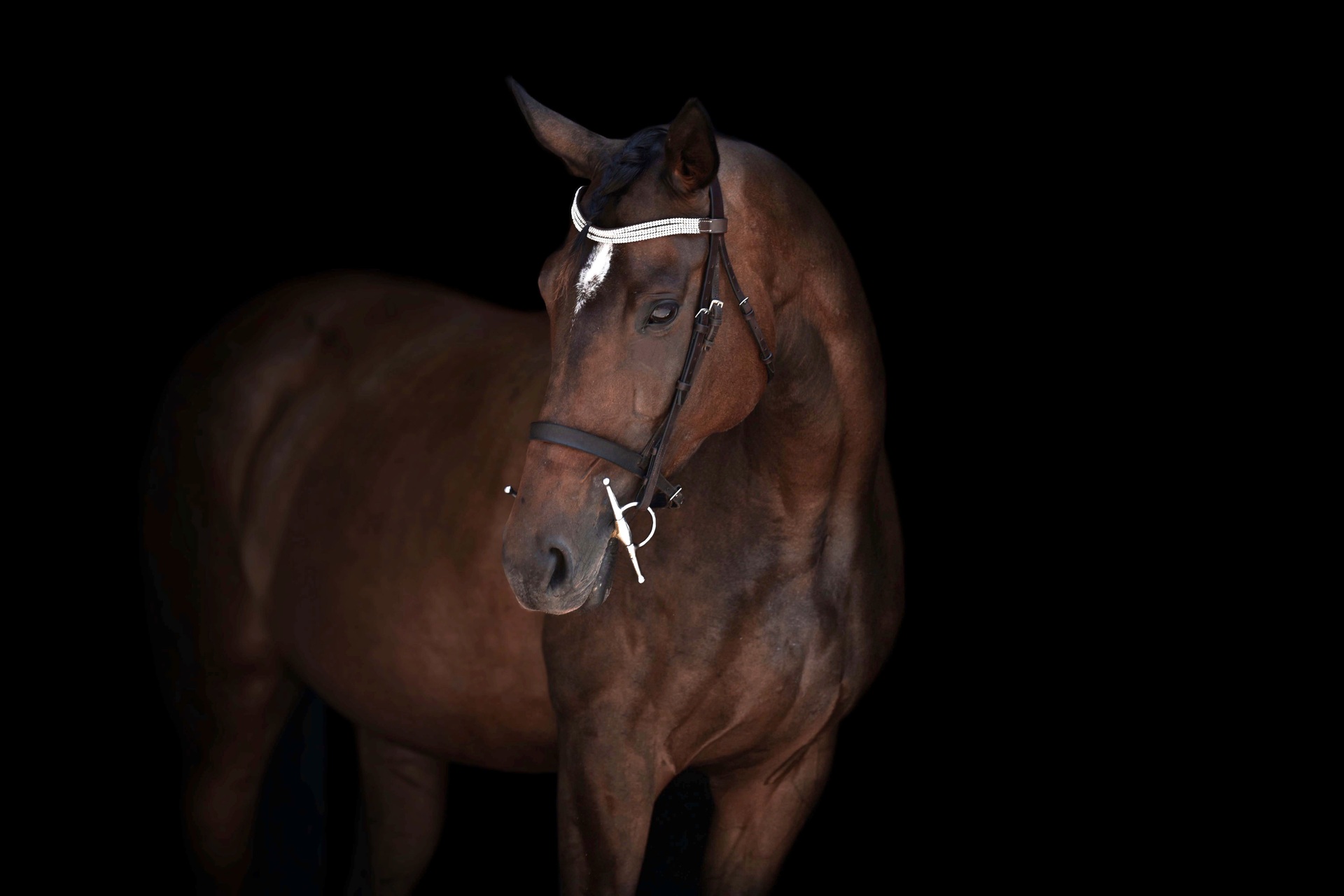 Victoria Morano Photography