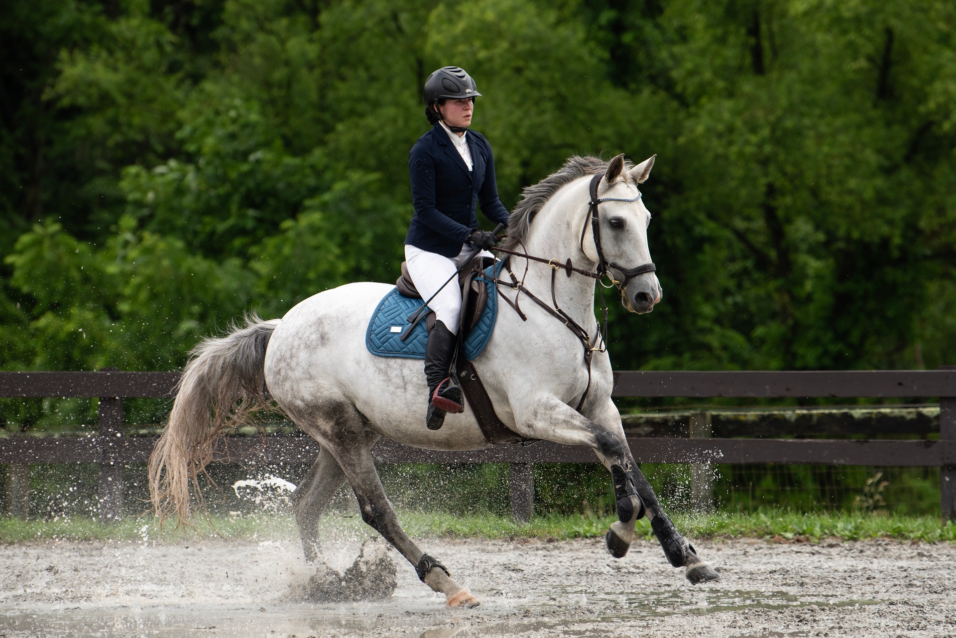 Victoria Morano Photography