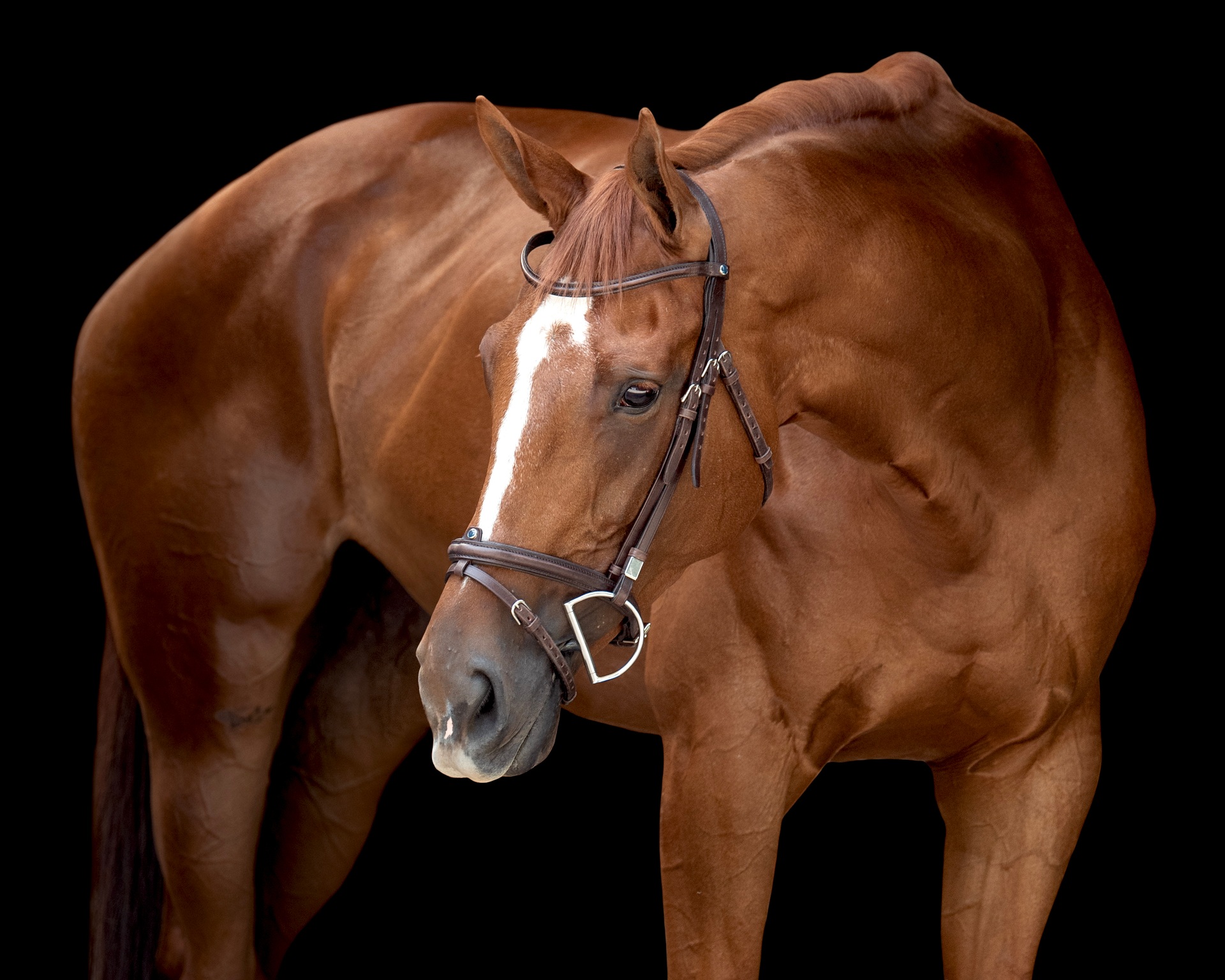 Victoria Morano Photography