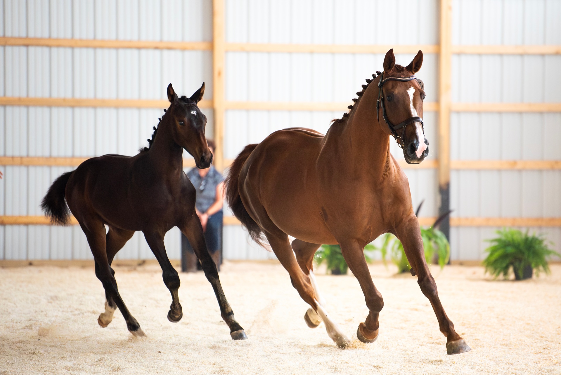 Victoria Morano Photography