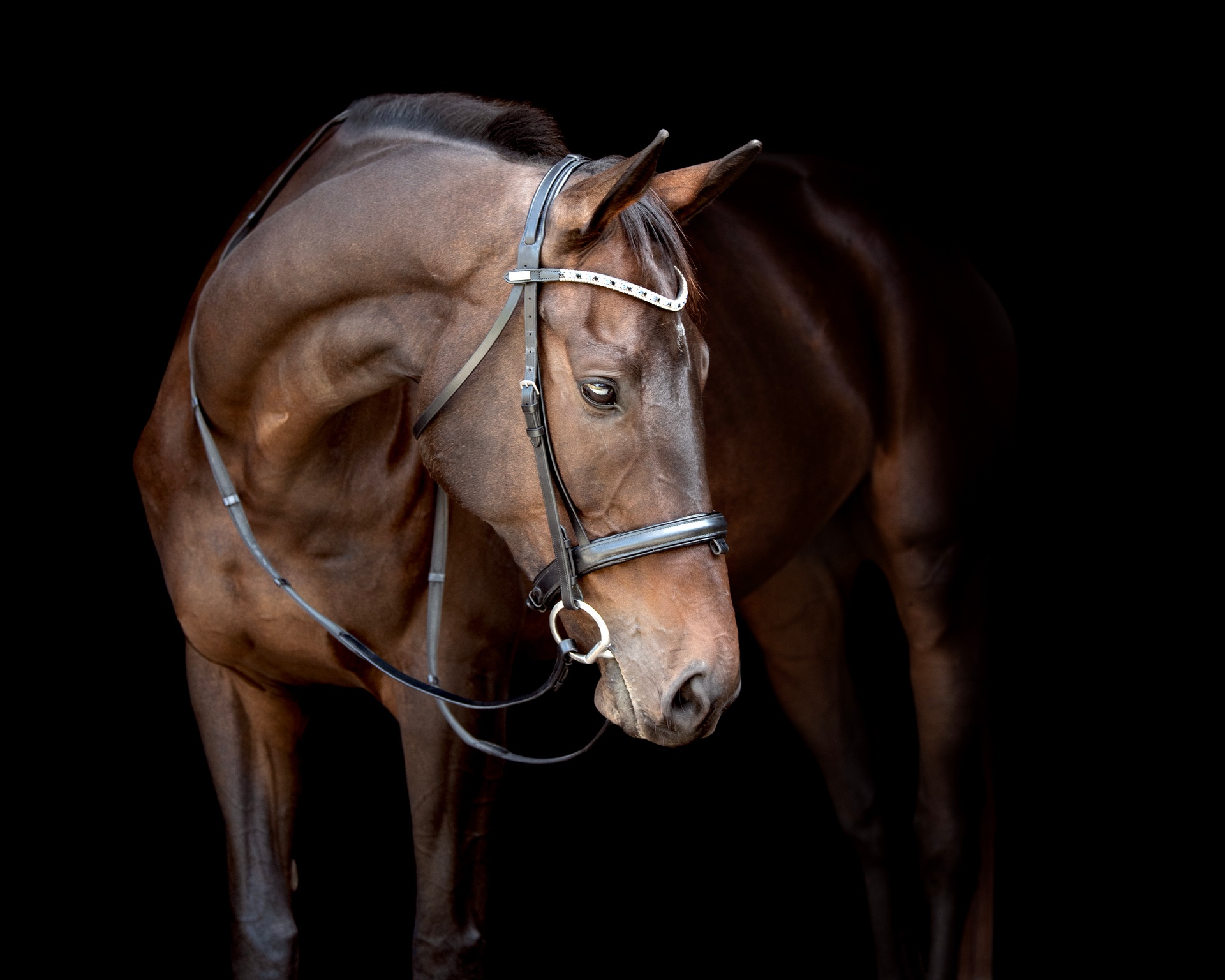 Victoria Morano Photography