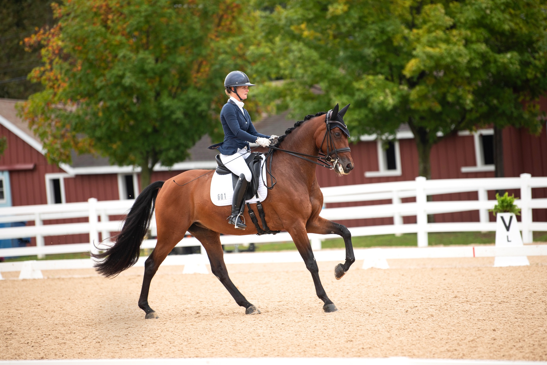 Victoria Morano Photography