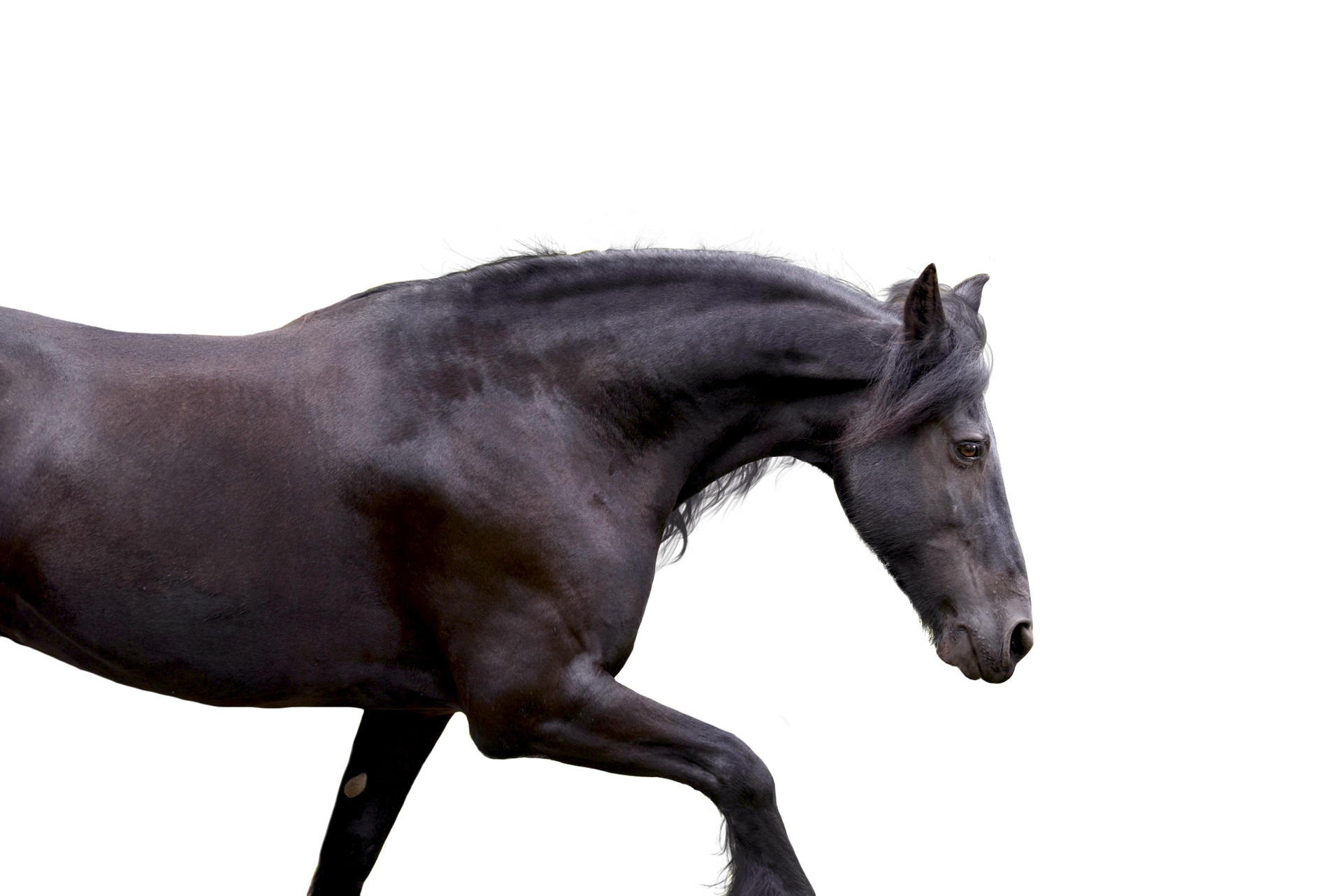 Victoria Morano Photography