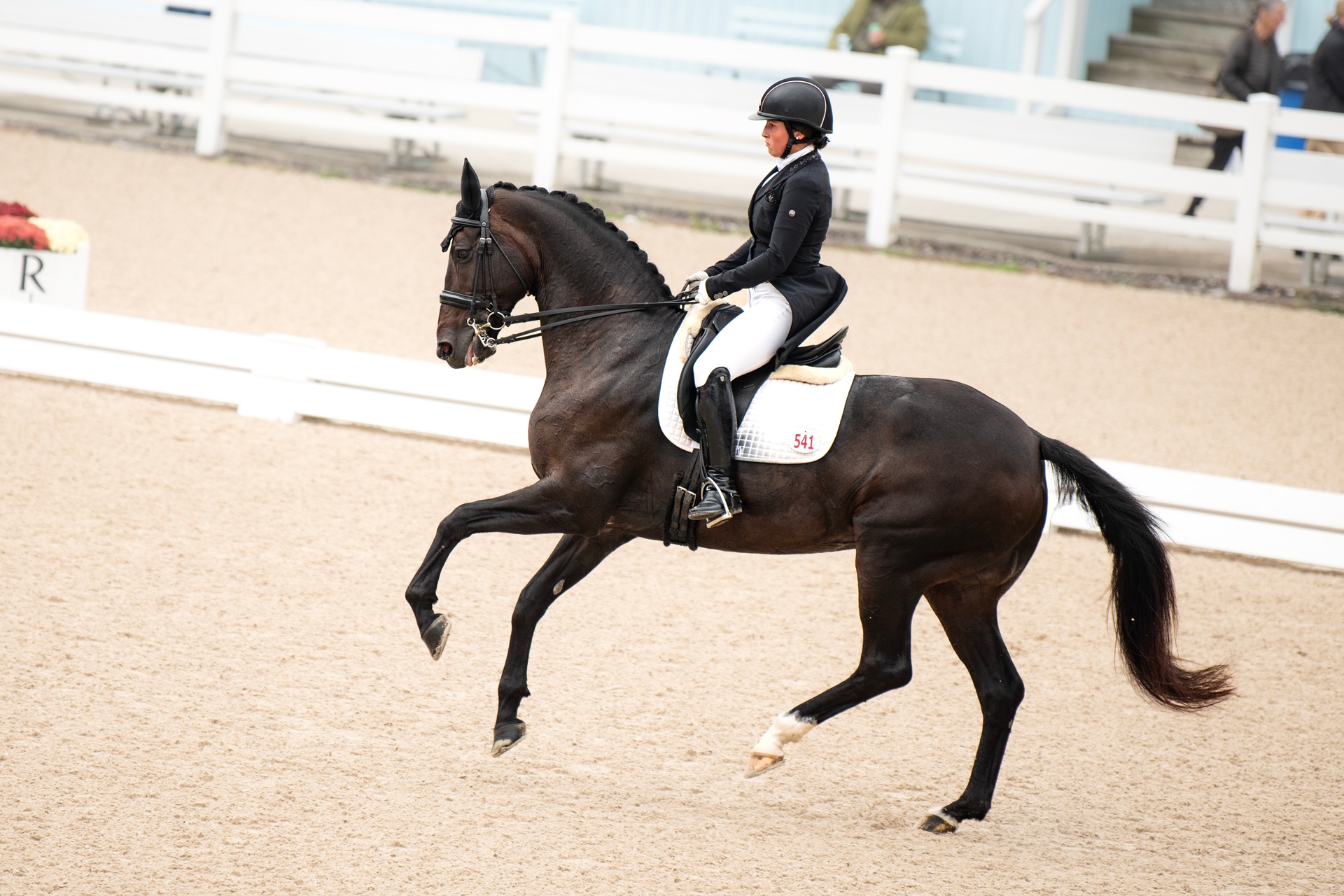 Victoria Morano Photography