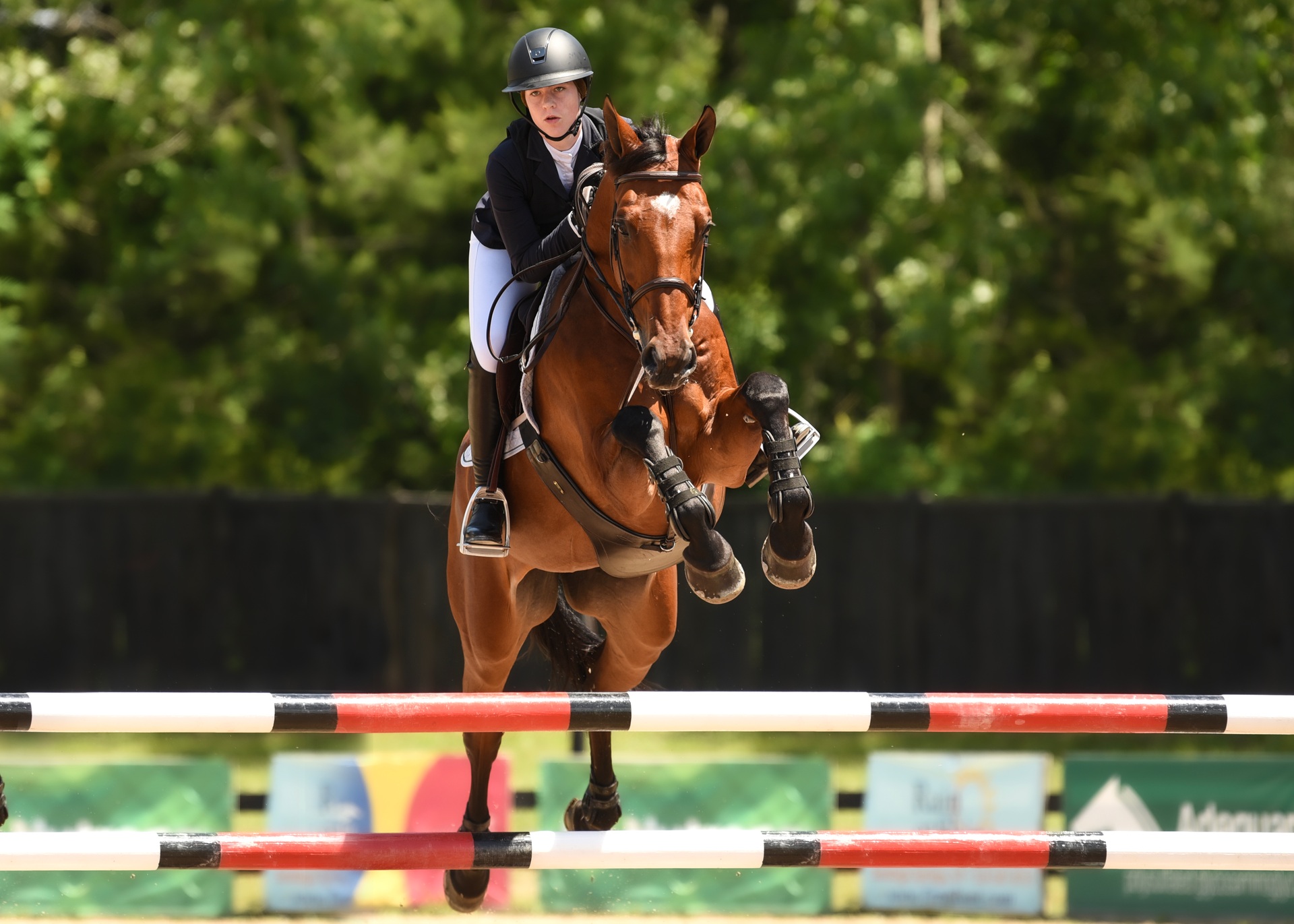 Victoria Morano Photography